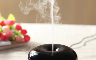 27 Funny Essential Oil Memes That EO Lovers Totally Understand! - Enjoy ...