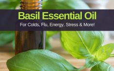 27 Funny Essential Oil Memes That EO Lovers Totally Understand! - Enjoy ...